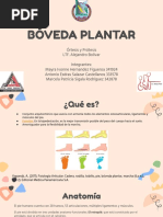 Linea de Feiss, Linea de Helbing | PDF | Pie | Anatomía humana