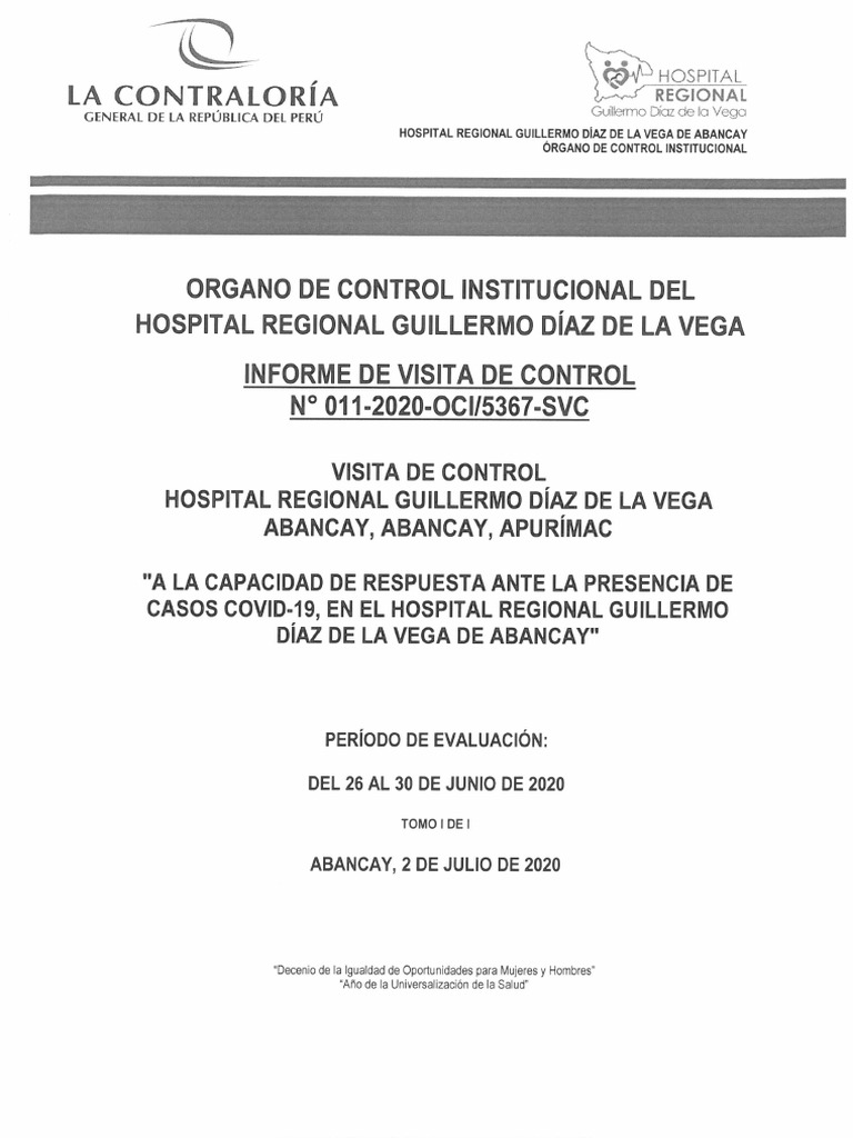 Modelo de Informe Hospital | PDF