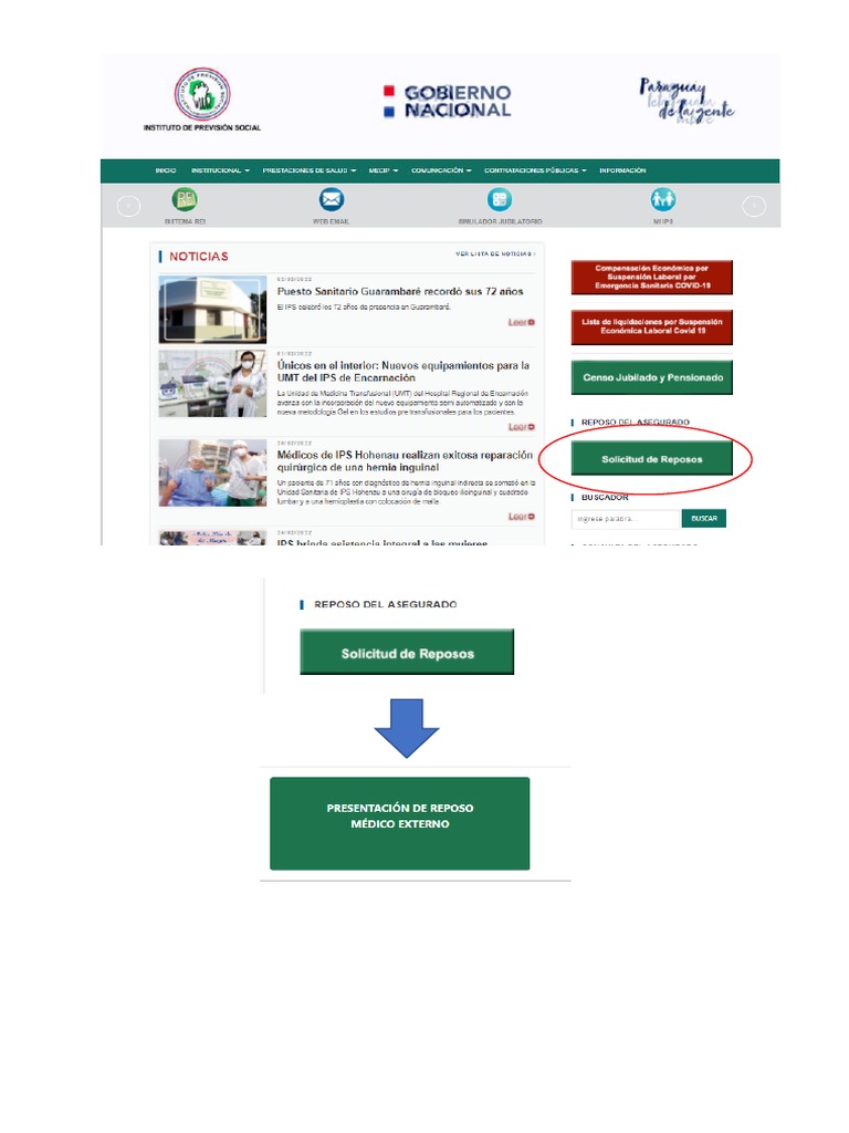 Instructivo de Como Subir Reposo A Ips | PDF