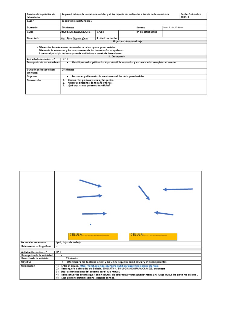 Practica #6 PROCESOS BIOLOGICOS | PDF | Biología Celular) | Membrana ...