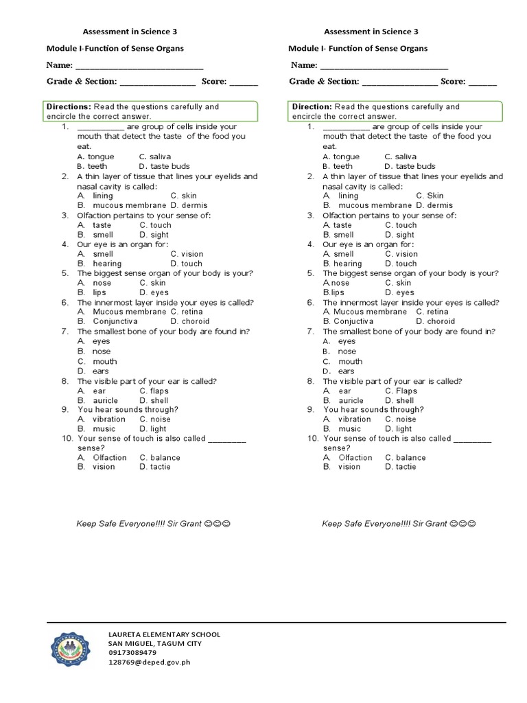 Grade 3 Sense Organs Assessment | PDF | Senses | Skin