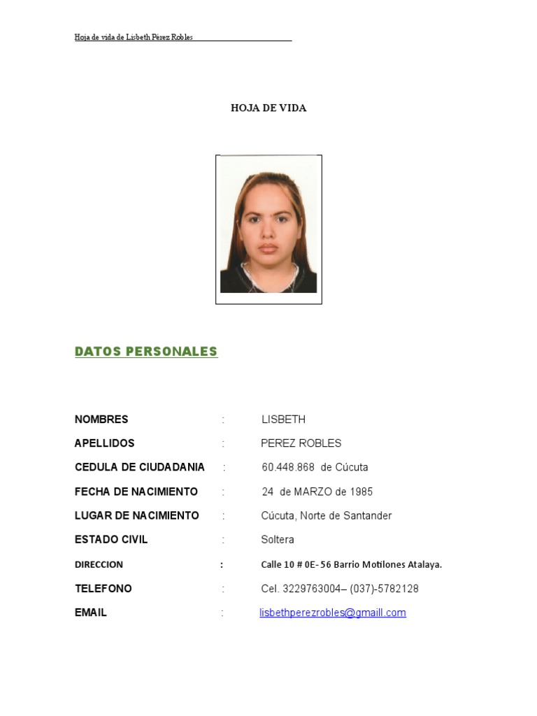 HOJA de VIDA Lisbeth - Inventarios | PDF