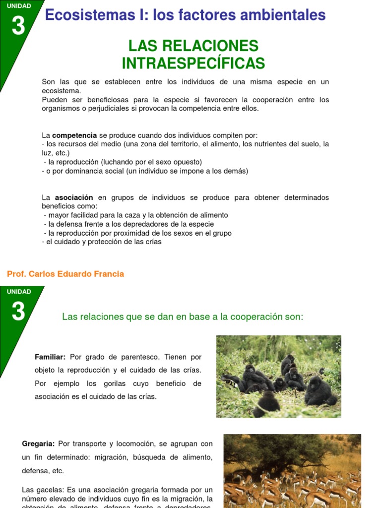 Relaciones Intraespecíficas en Ecosistemas | PDF | Interacciones ...