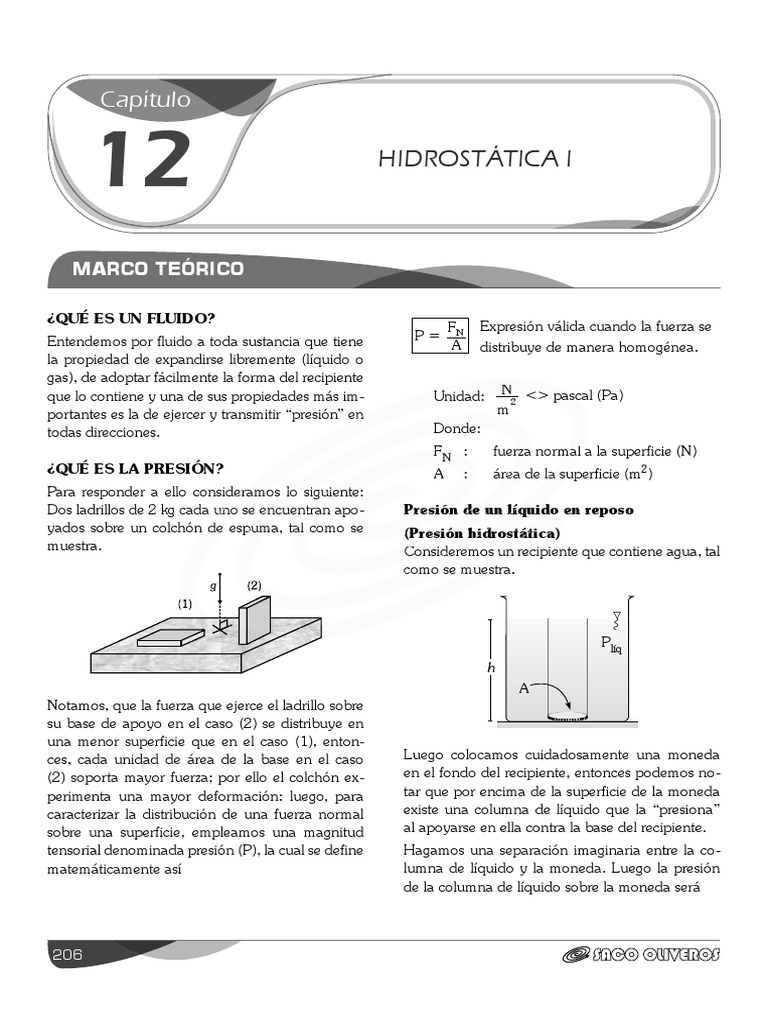 6 - Fis - 5° SM - Cap12 - 2022 | PDF | Presión | Pascal (Unidad)