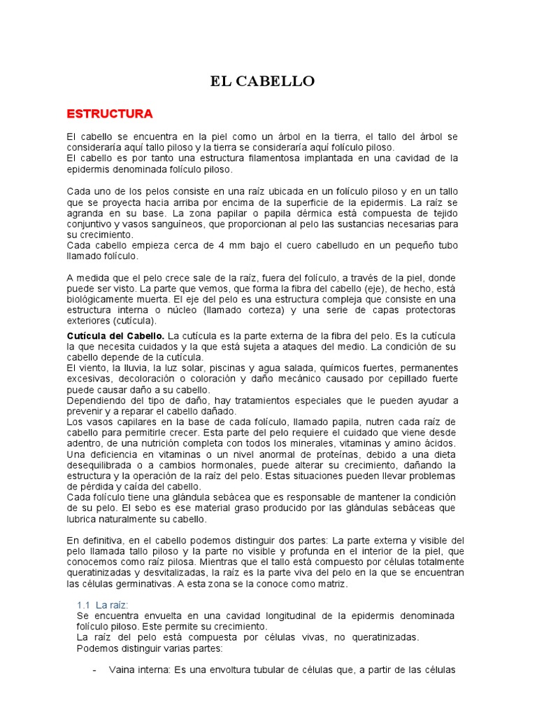 El Cabello | PDF | Pelo | Sistema tegumentario