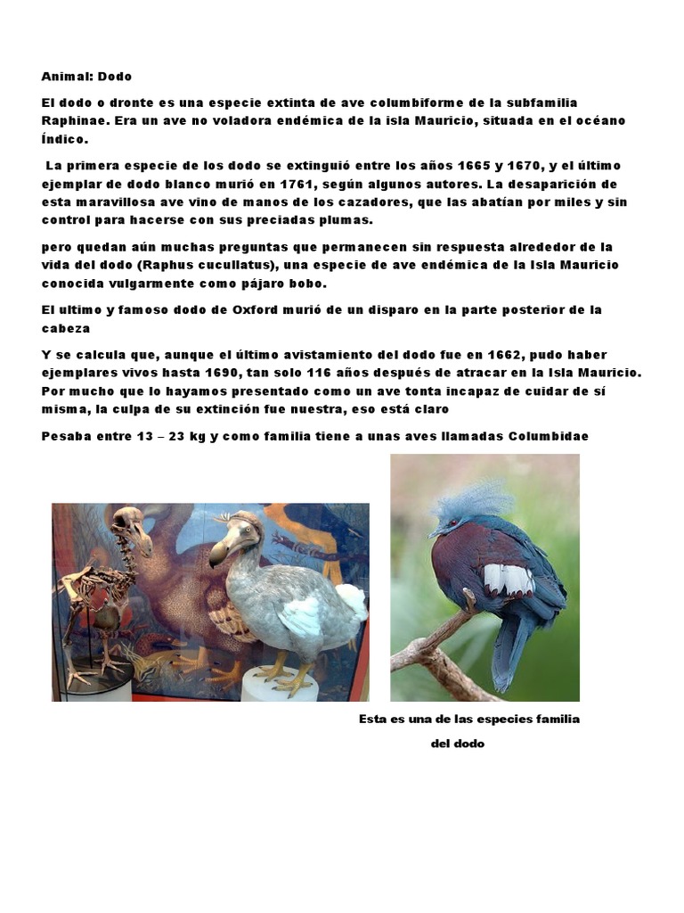 El Dodo | PDF