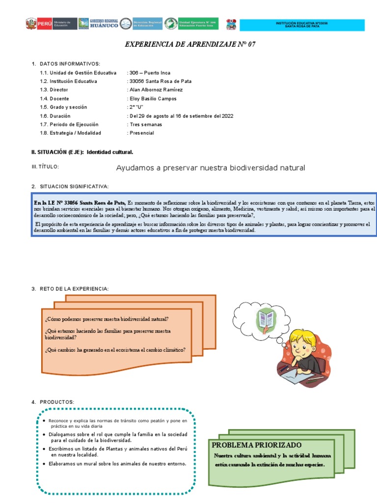 Experiencia de Aprendizaje N°7 | PDF | Evaluación | Aprendizaje