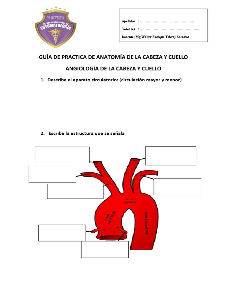 Guías de Practica Angiologia | PDF