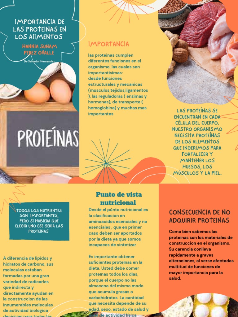 Importancia de Las Proteinas en Los Aiimentos | PDF | Proteínas | Dieta y nutrición