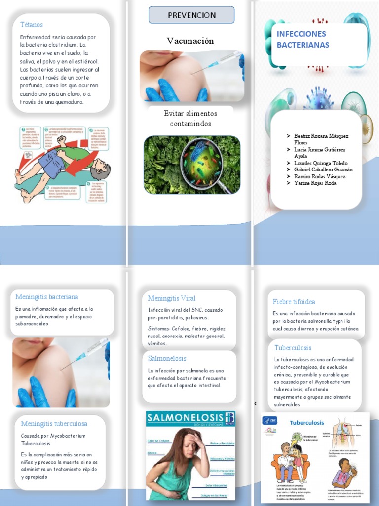 TRIPTICO | PDF | Meningitis | Salmonela