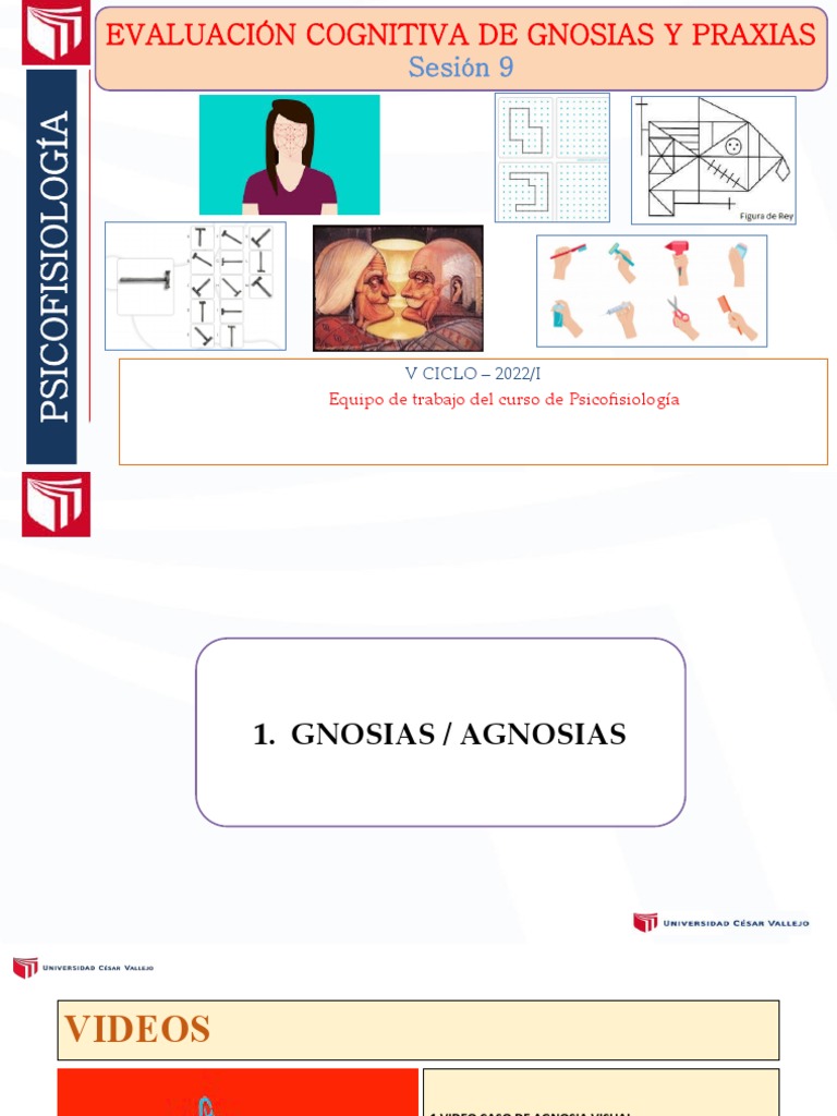 Sesión 9 Evaluación de Gnosias y Praxias | PDF | Cerebro | Memoria