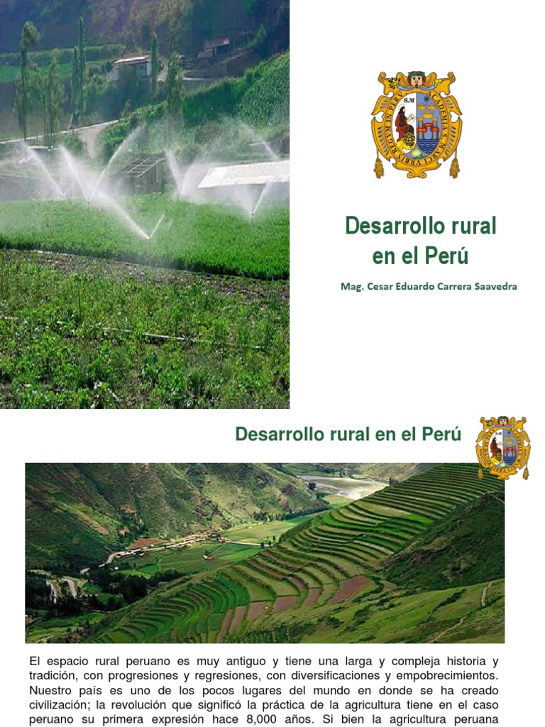 Desarrollo Rural en el Perú: Retos y Oportunidades | PDF | Perú | Pobreza