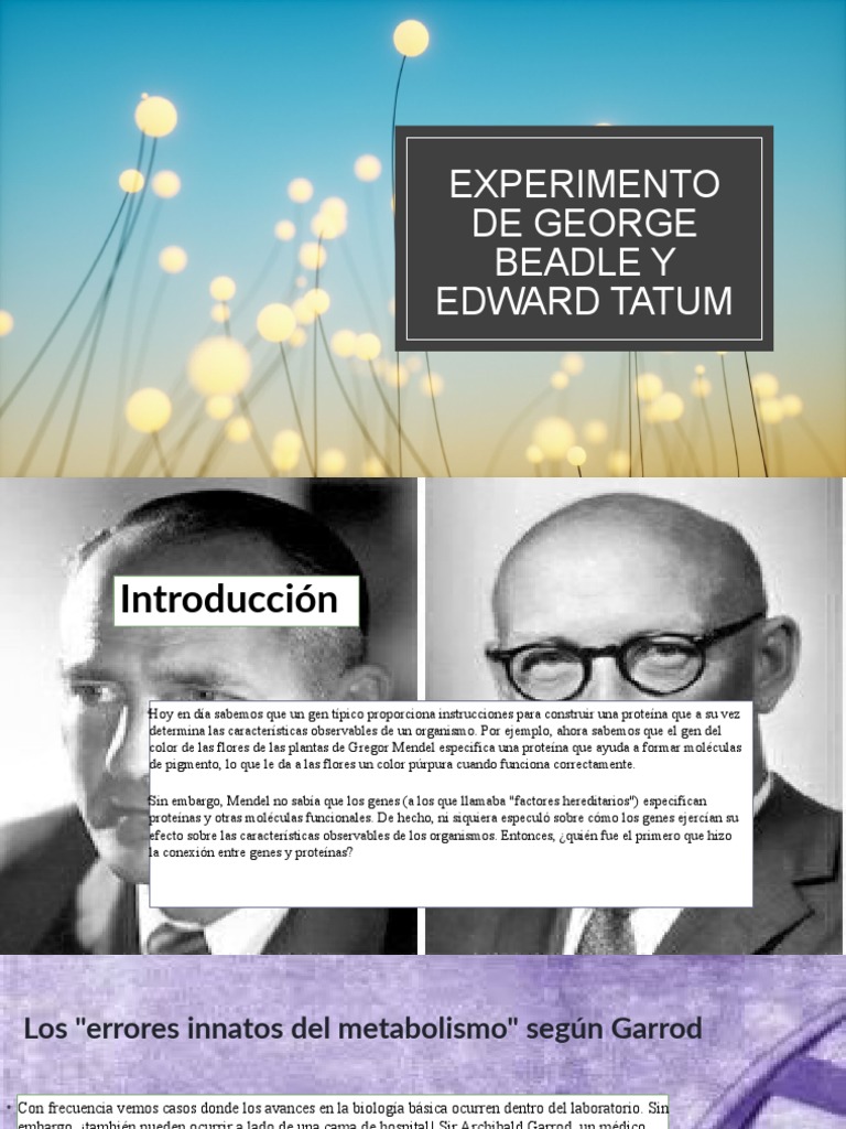Experimento de George Beadle y Edward Tatum | PDF | Gene | Proteínas