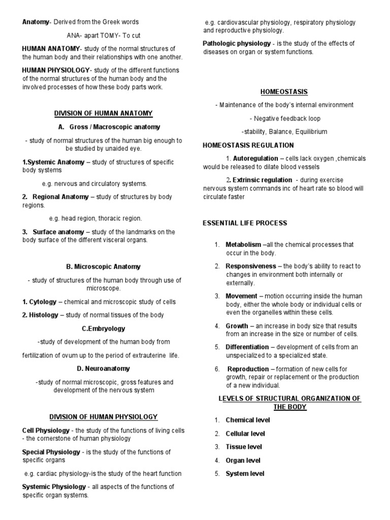 Reviewer ANPH111 Candy | PDF | Epithelium | Connective Tissue