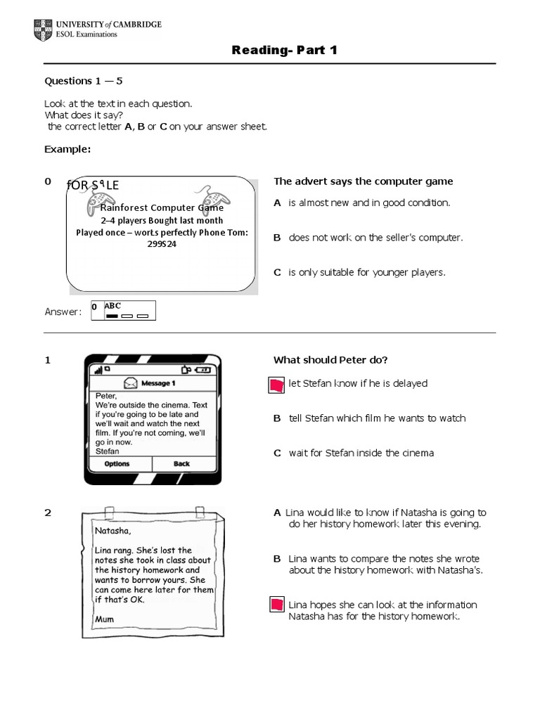 Pet Reading Comprehension Exercises | PDF