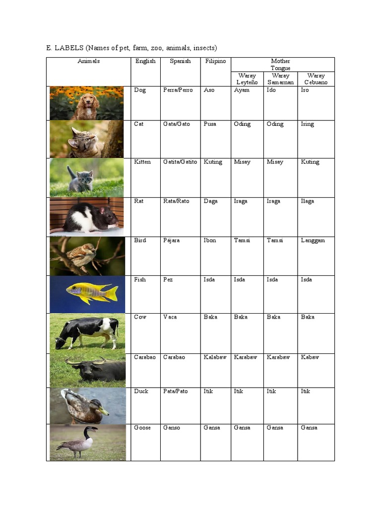 Animal Names in Multiple Languages | PDF