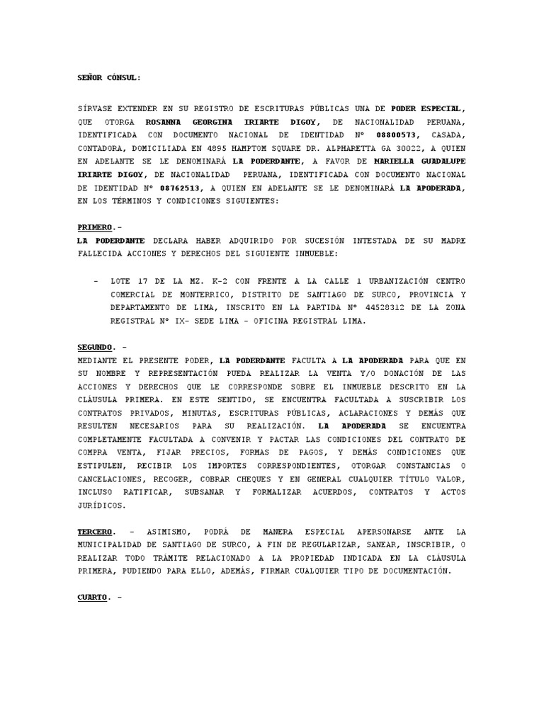 Poder Consular de Rosanna Georgina Iriarte Digoy | PDF | Justicia ...