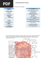 Anatomy and Physiology Exam 1st Grading | PDF | Skin | Epidermis