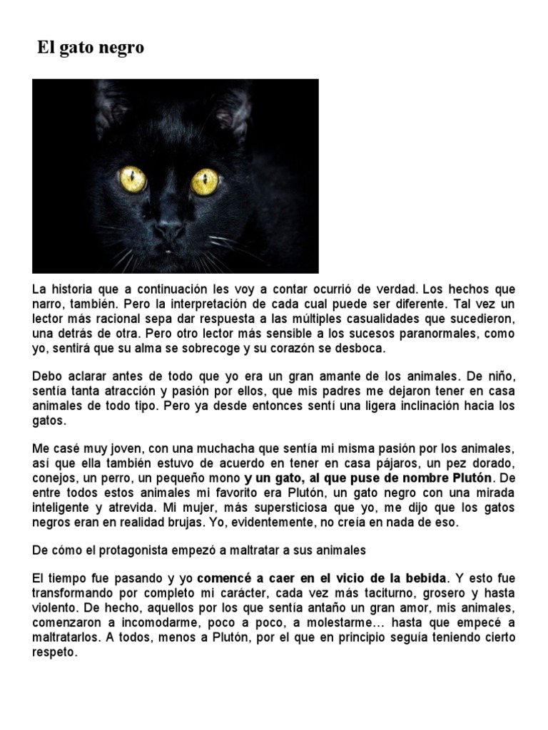 Lec. El Gato Negro | PDF | Gatos