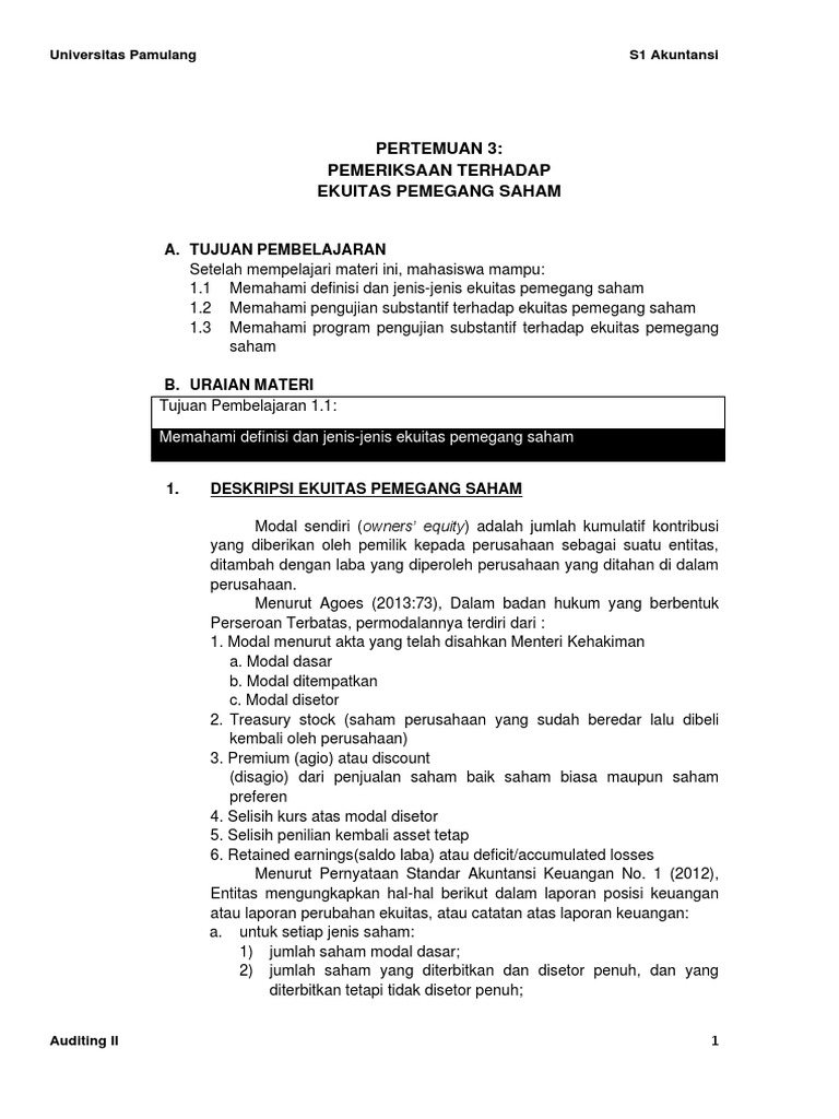 Pemeriksaan Ekuitas Pemegang Saham | PDF