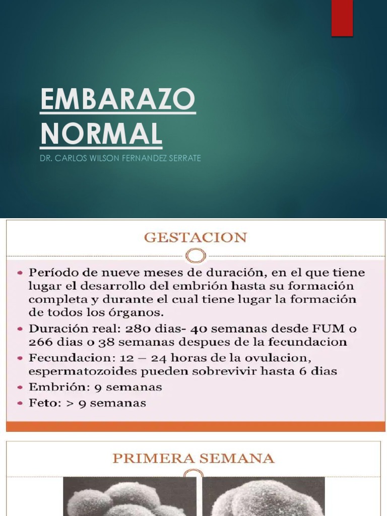3 - Embarazo Normal PDF | PDF