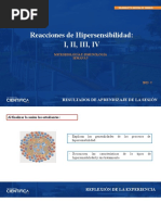 Guía sobre Cromoniquia y Alteraciones Ungueales | PDF | Clavo (anatomía ...