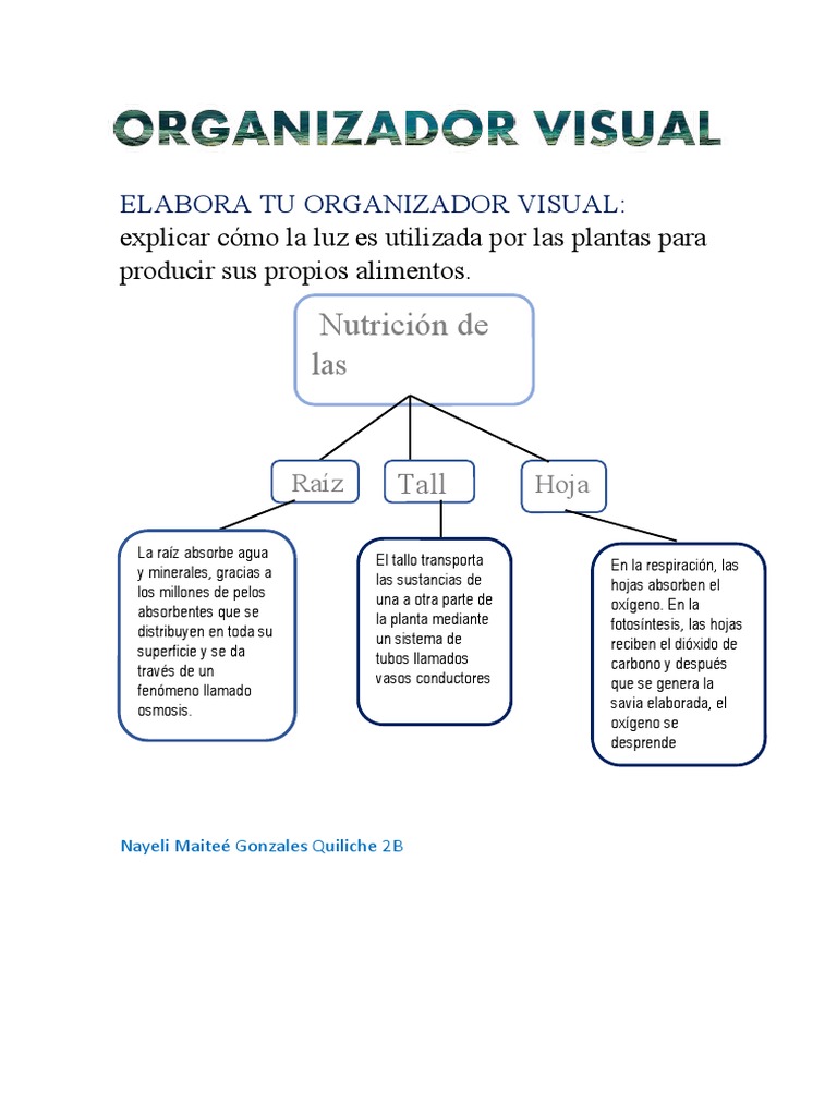 Semana 27 - ELABORA TU ORGANIZADOR VISUAL | PDF