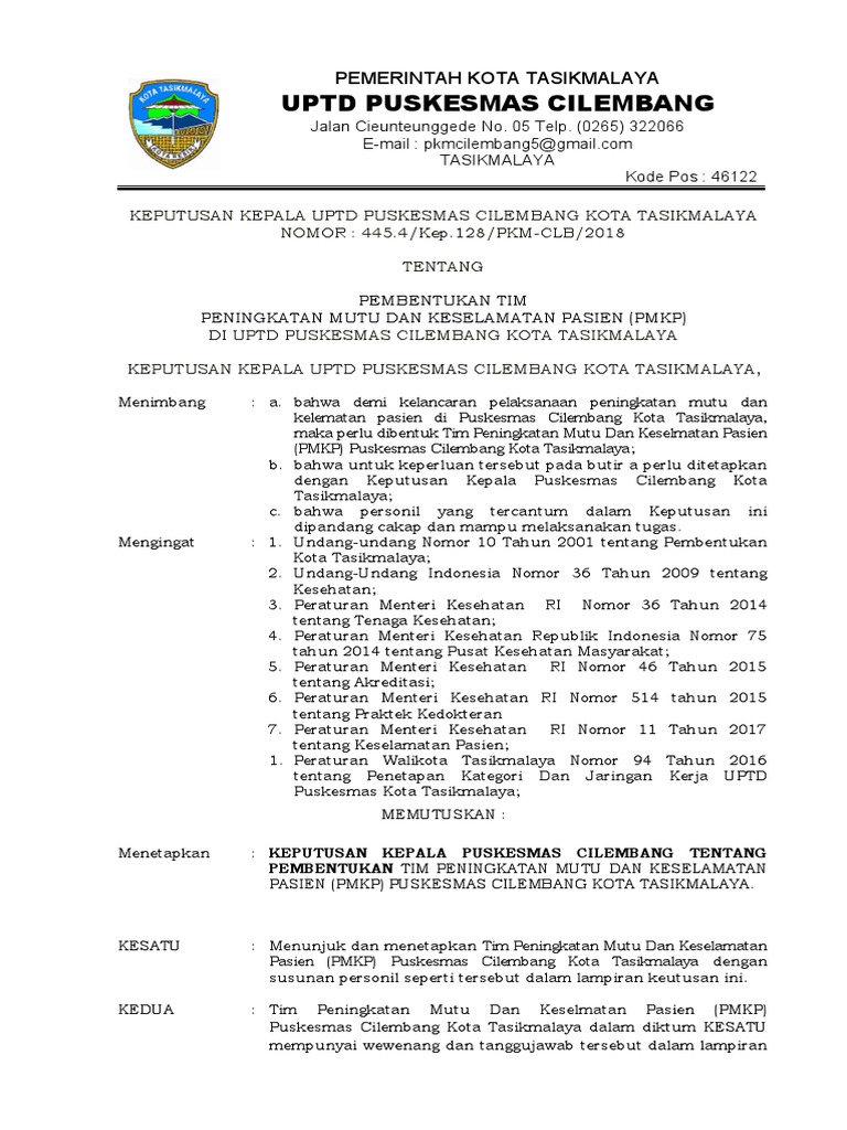SK Penetapan Tim Pembentukan Tim Peningkatan Mutu Dan Keselamatan Pasien (PMKP) | PDF
