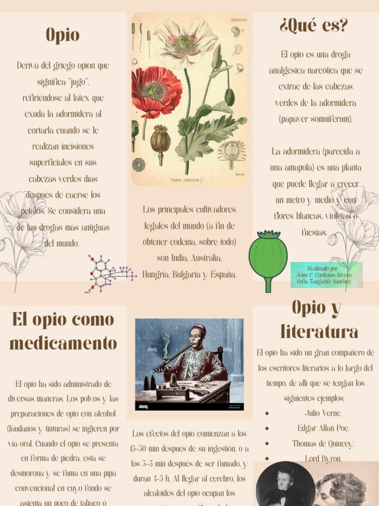 El opio: una droga analgésica con una larga historia de uso medicinal y ...