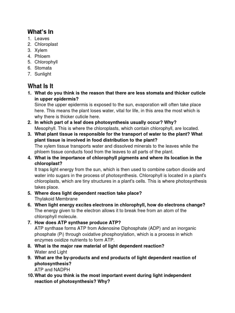 Formative Assessment (Module 6) | PDF | Photosynthesis | Chloroplast