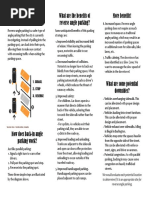 Guidance On Snap Back Zones | PDF | Safety