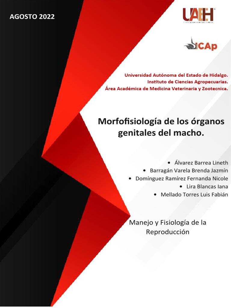 Portada Red Lightning | PDF