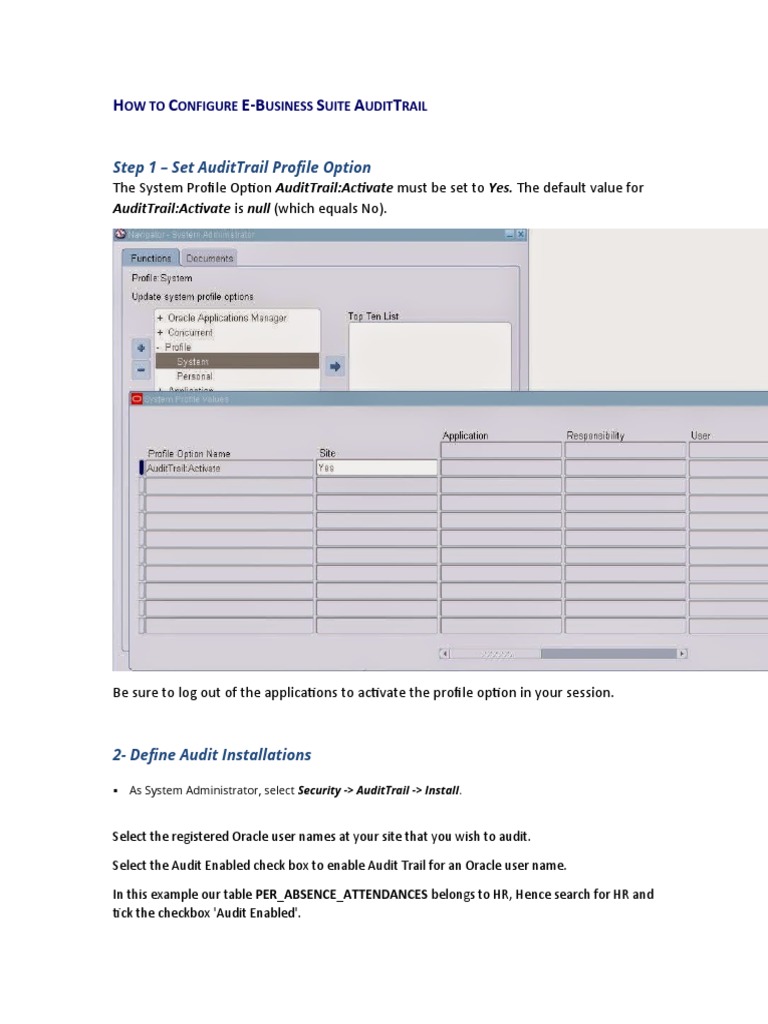 Configure Ebs Audit Trail | PDF | Data | Information Age