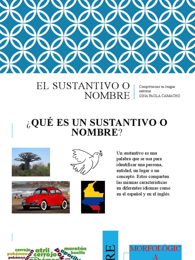 Definición y Tipos de Sustantivos | PDF