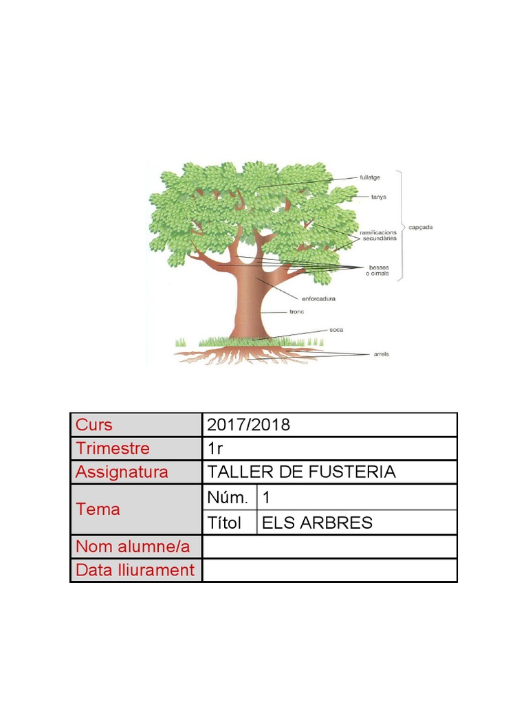 Tema 1. Els Arbres | PDF