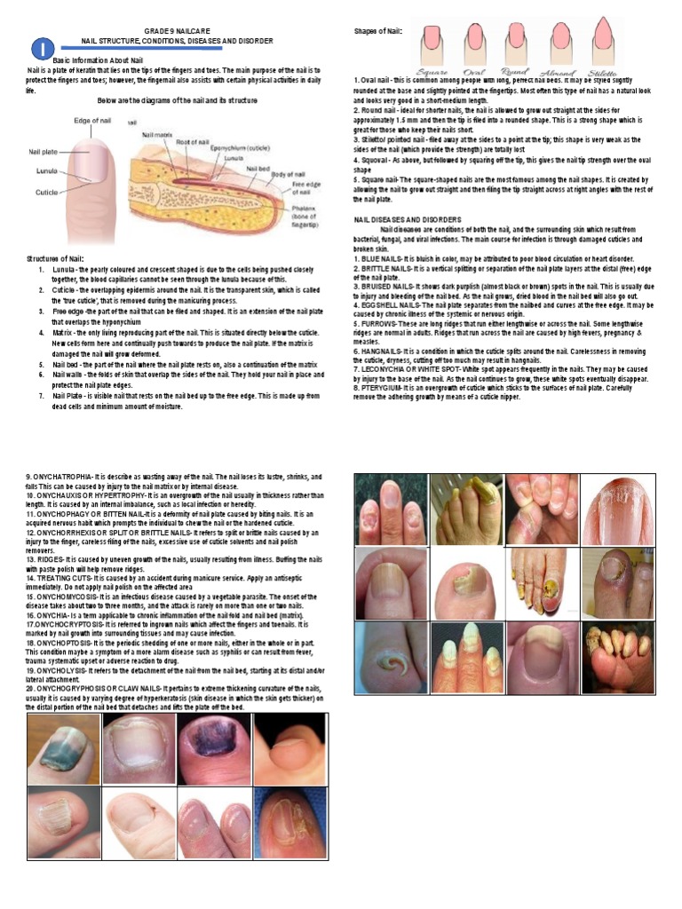 Nail Structure and Conditions Diseases and Disorder | PDF | Nail ...