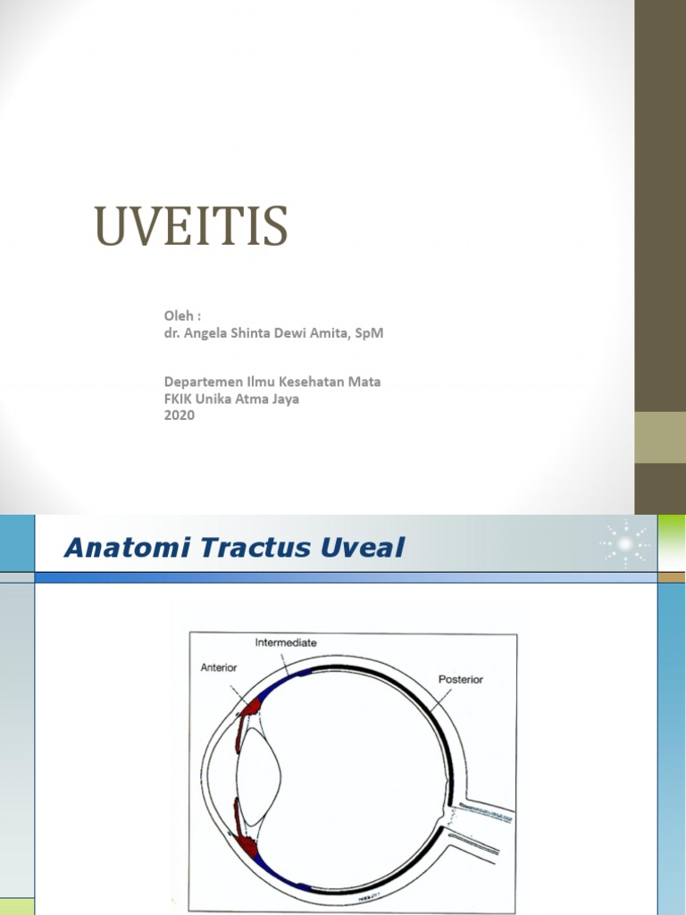 UVEA Angela 6 | PDF