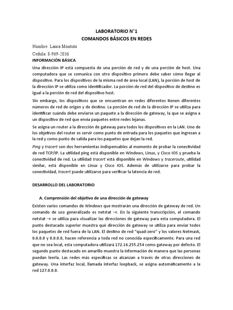 Comandos básicos de red: ping, tracert, ipconfig | PDF | Dirección IP | Protocolos de red