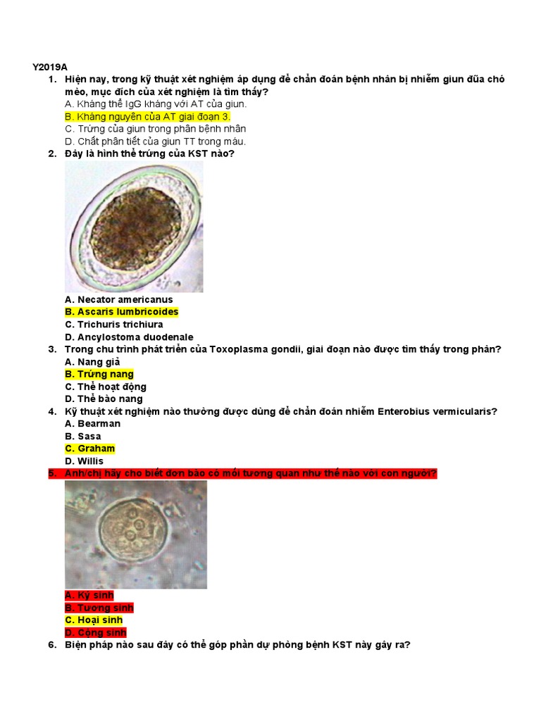 ĐỀ GK KST Y2019 | PDF