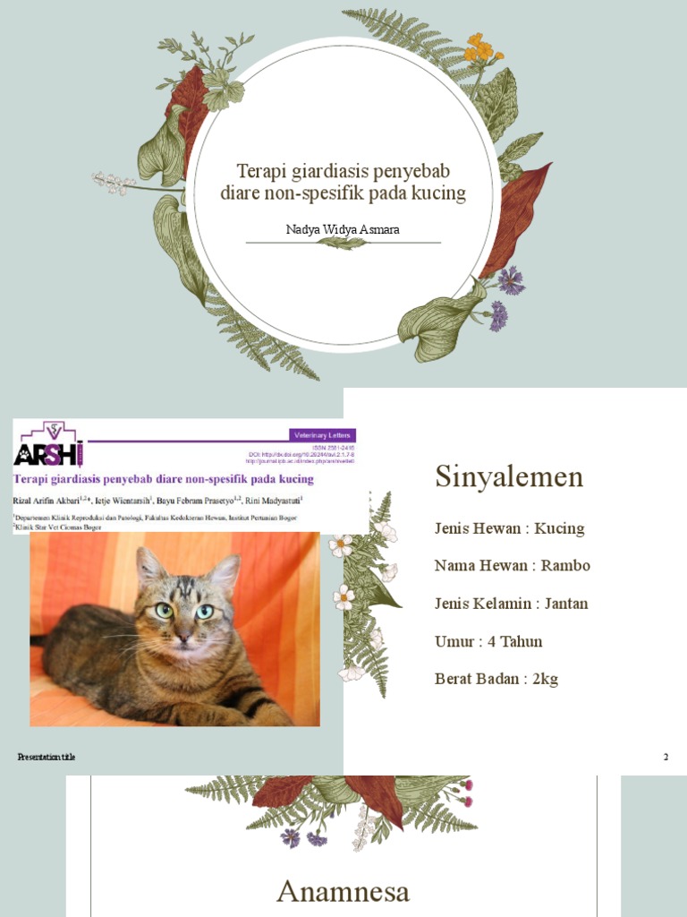 Nadya Widya Asmara - 220130100111071 Giardiasis Pada Kucing | PDF