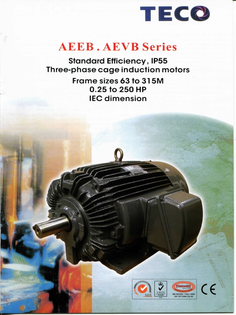 TECO AEEB & AEVB-Pump | PDF | Electric Motor | Bearing (Mechanical)