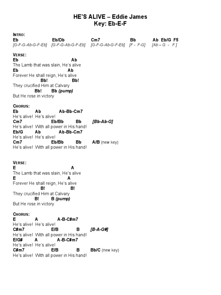 Hes-Alive CC | PDF