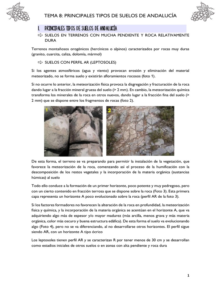 Tema 8 - Principales Tipos de Suelos en Andalucía | PDF | Suelo | Roca ...