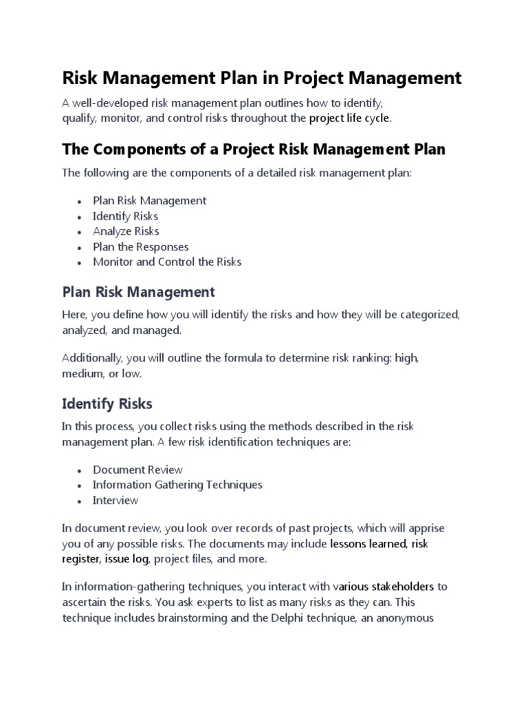Risk Management Plan in Project Management | PDF | Risk | Risk Management