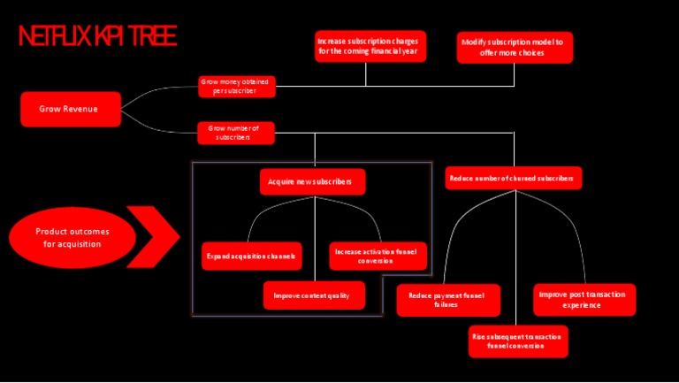 Netflix KPIs | PDF