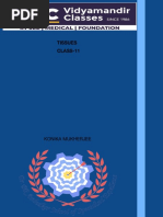 VMC - SOSE IX HRT - 1 (Question Paper) | PDF | Rational Number | Cell ...