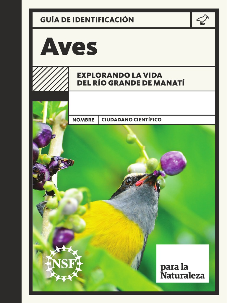 Guia de Aves | PDF | Aves | Dinosaurios