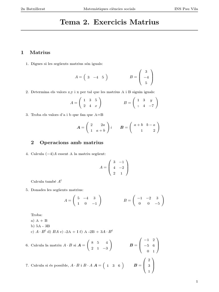 2MS - Exercicis Matrius V2 | PDF