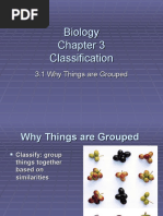 Taxonomy Foldable | PDF | Taxonomy (Biology) | Cell (Biology)