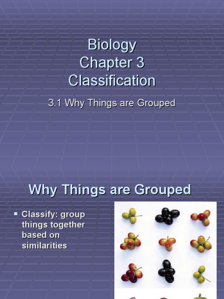 Understanding Classification: A Breakdown of Kingdoms, Characteristics, and the Evolution of ...
